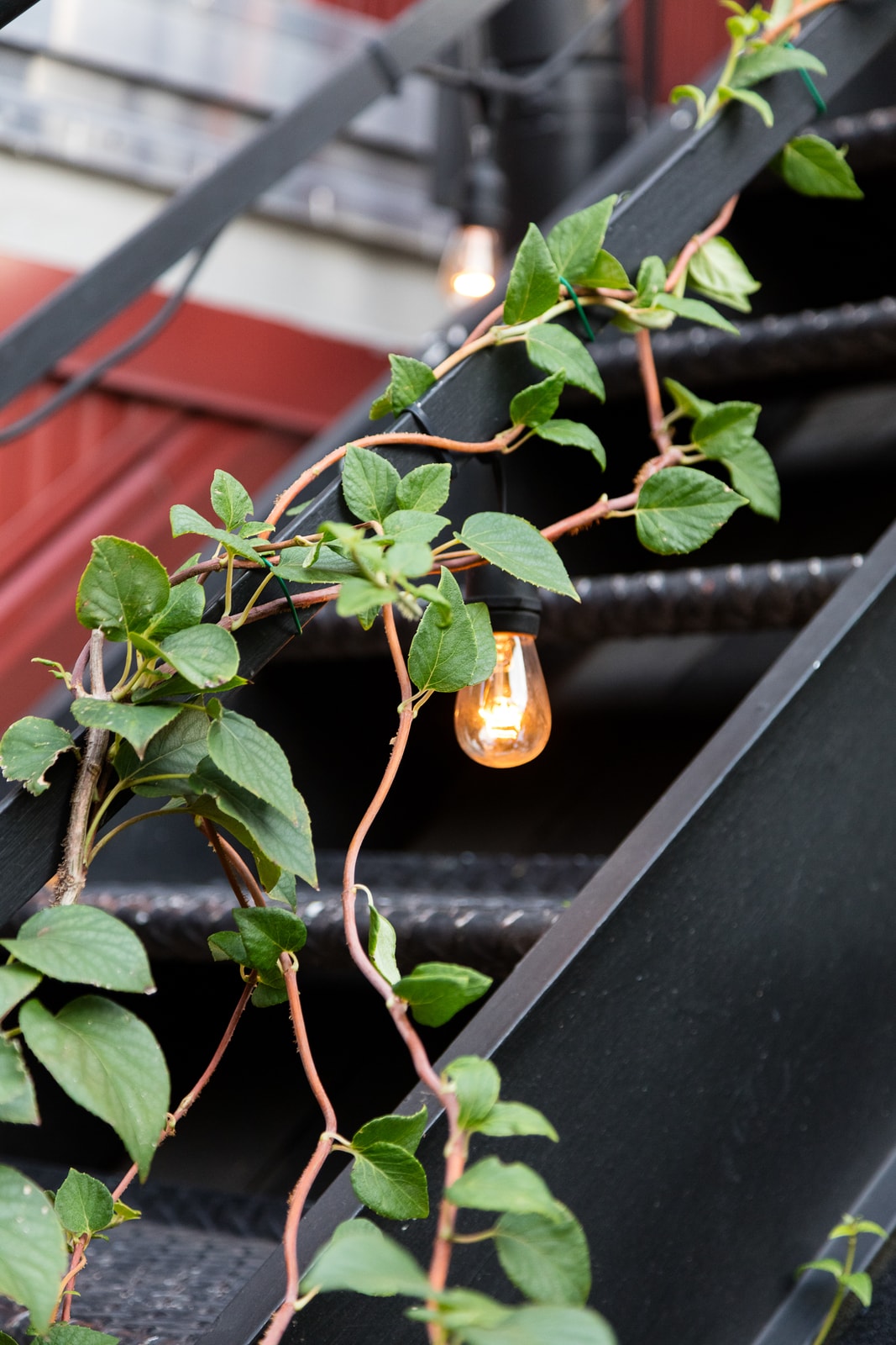 Union Square - Harrison Green