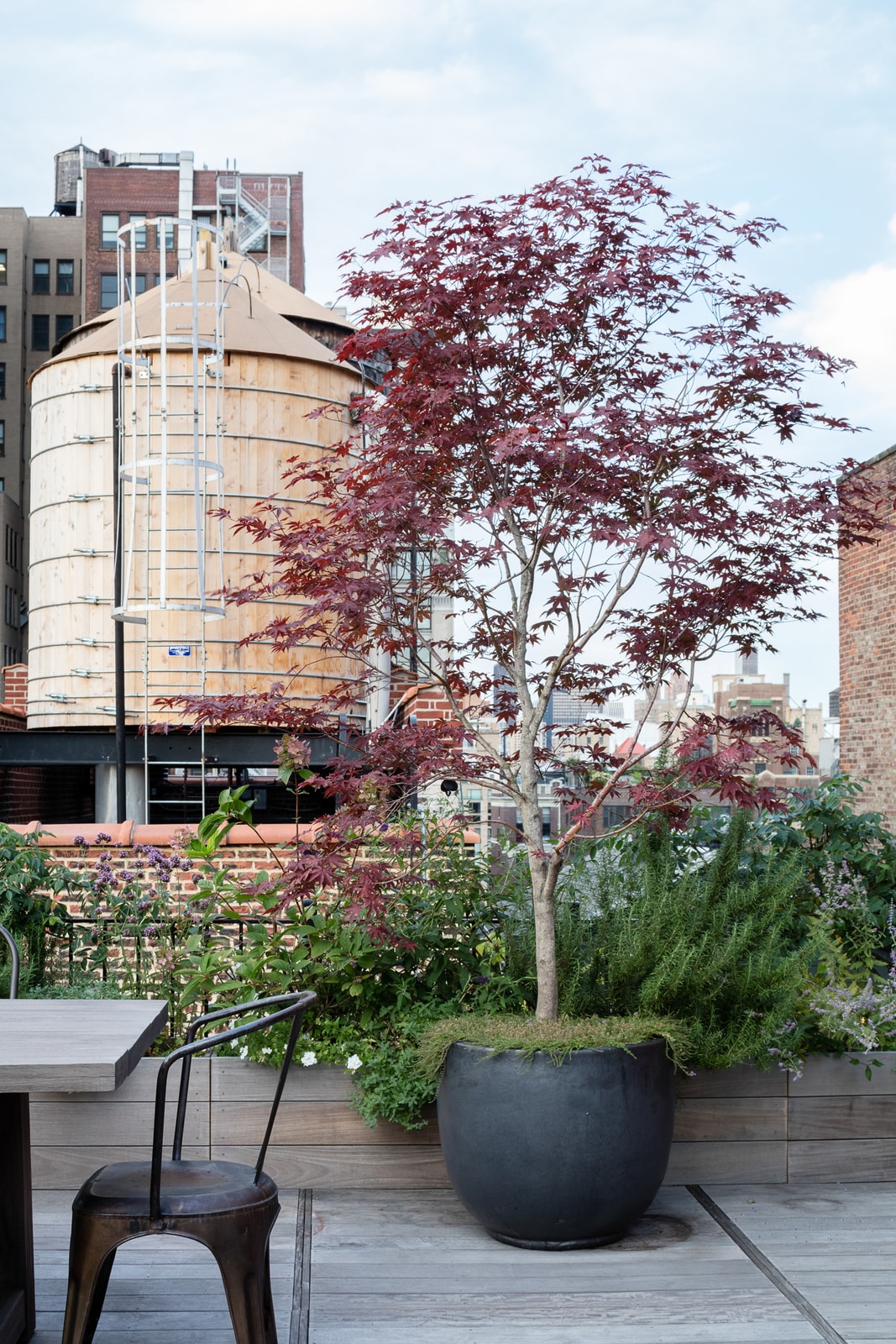 Union Square - Harrison Green