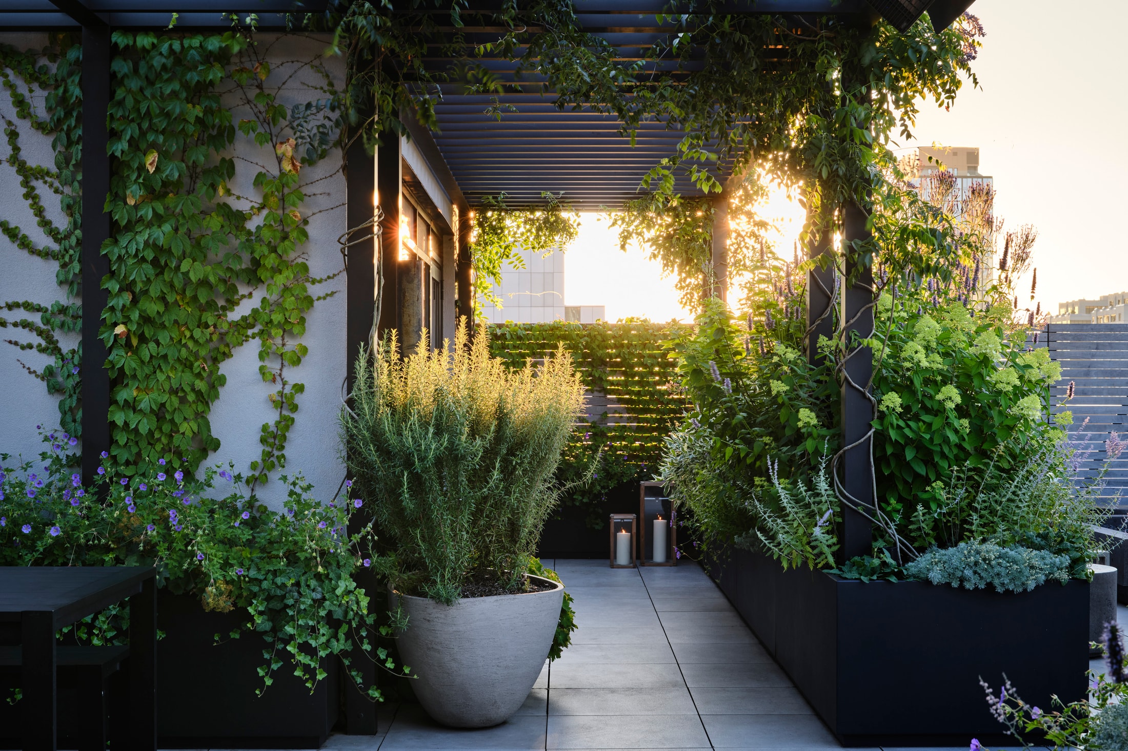 Cobble Hill - Harrison Green