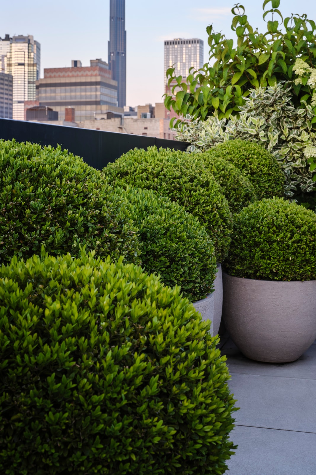 Cobble Hill - Harrison Green